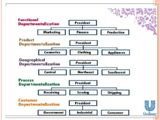 Fmcg industry- Organisation Structure