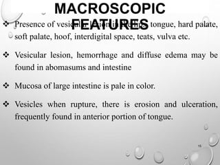 Foot and mouth disease | PPTX