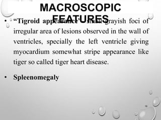 Foot and mouth disease | PPTX