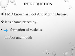 Foot and mouth disease | PPTX