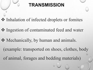 Foot and mouth disease | PPTX