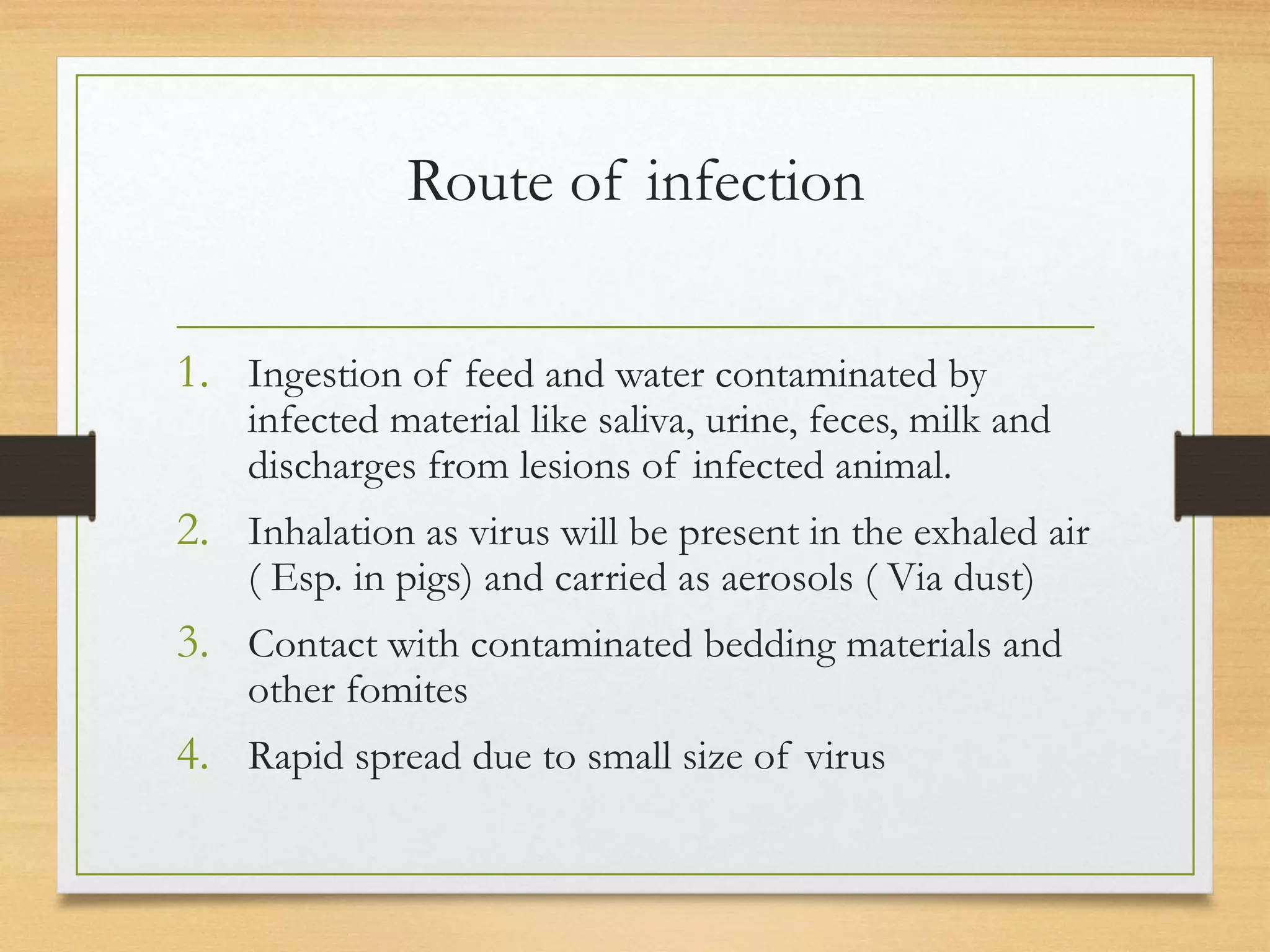 Foot and Mouth Disease | PPTX