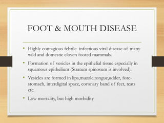 Foot and Mouth Disease | PPTX