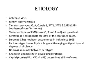 FMD.pdf