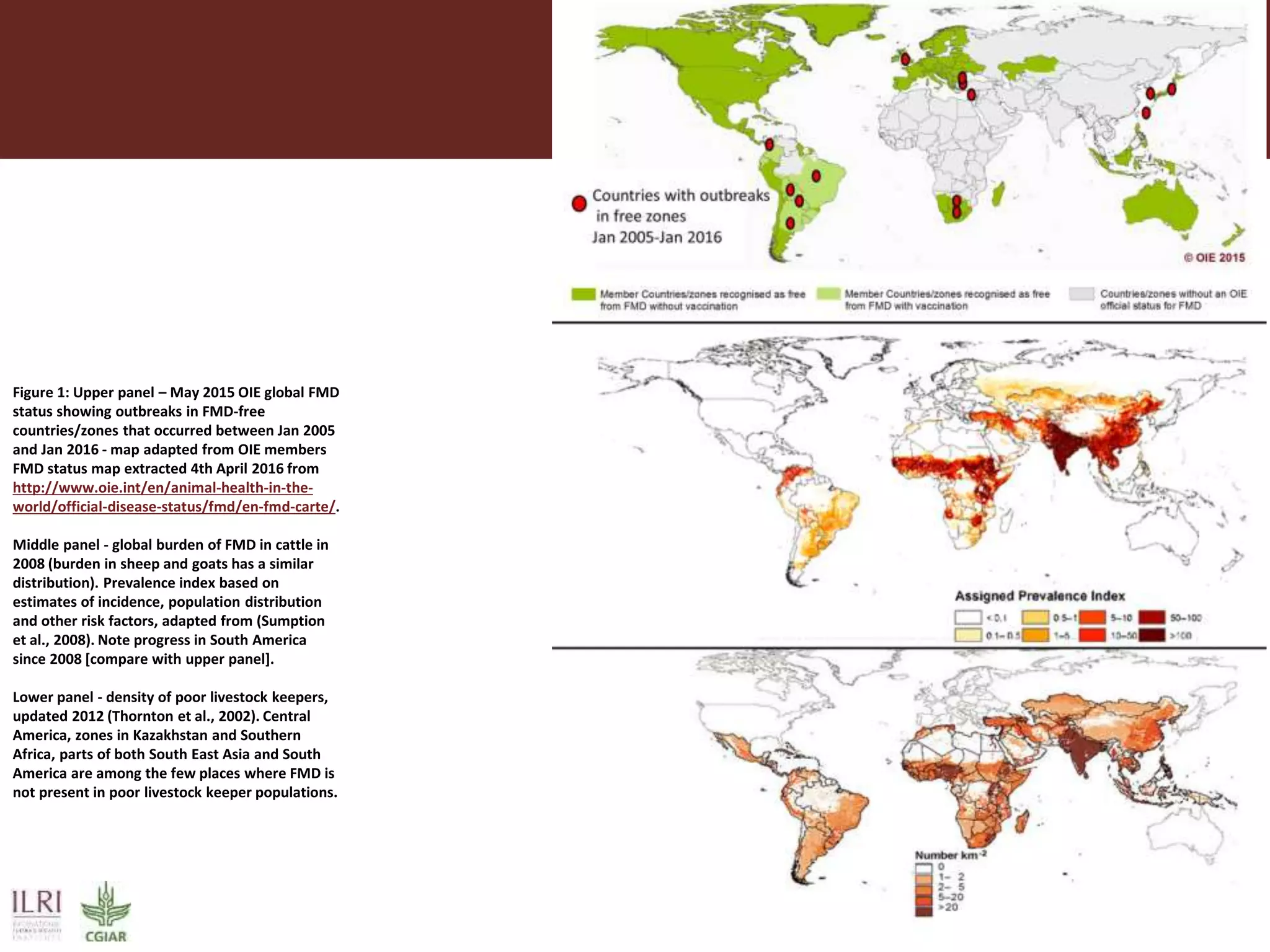 Foot-and-mouth disease: Control and vaccination | PPTX