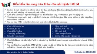 Diễn biến lâm sàng bệnh LMLM trên trâu bò (FMD on Cow | PPTX