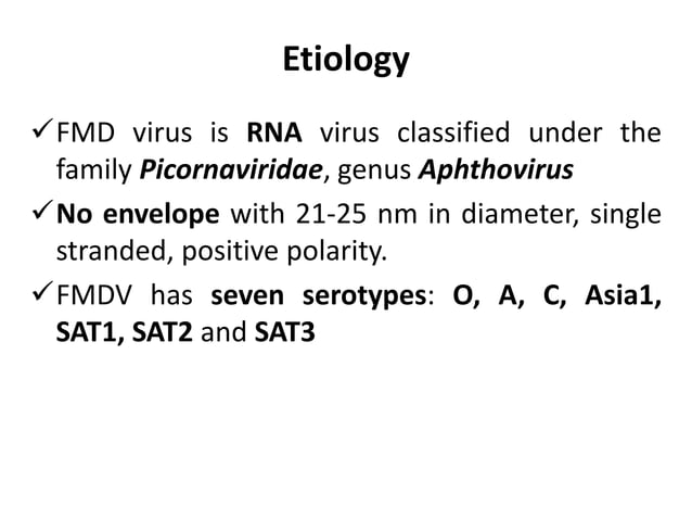 FOOT AND MOUTH DISEASE ( FMD) | PPTX
