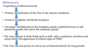 FMD (Foot and Mouth disease) GROUP-5.pptx