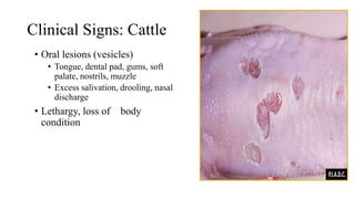 FMD (Foot and Mouth disease) GROUP-5.pptx