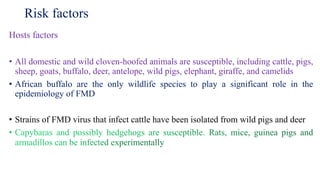 FMD (Foot and Mouth disease) GROUP-5.pptx