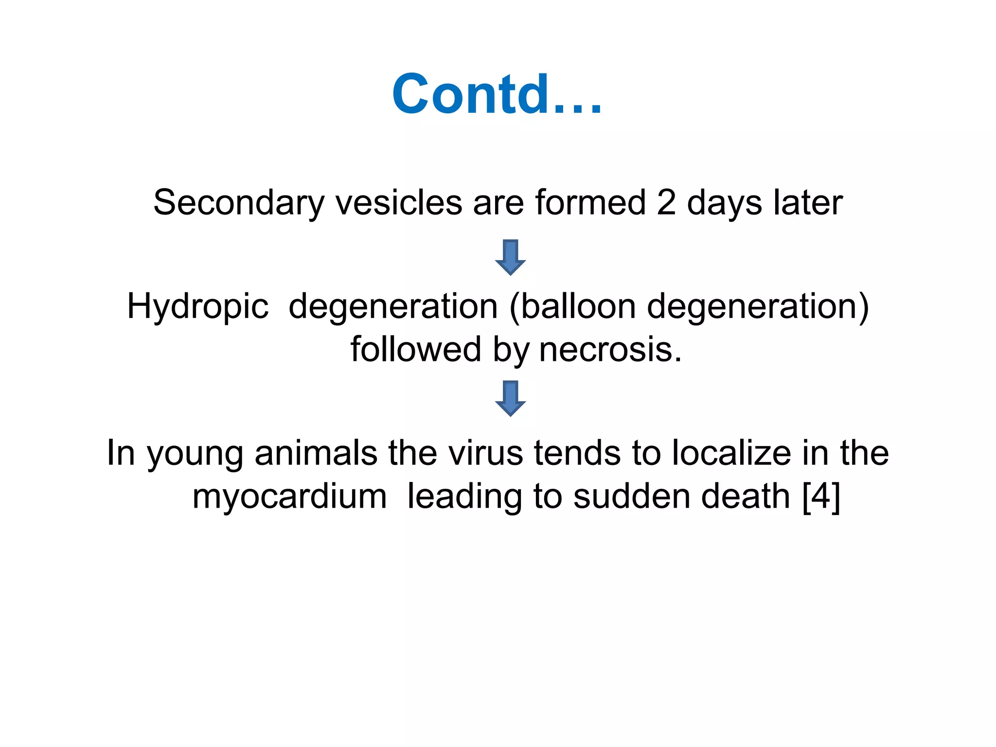 Foot and Mouth Disease | PPTX