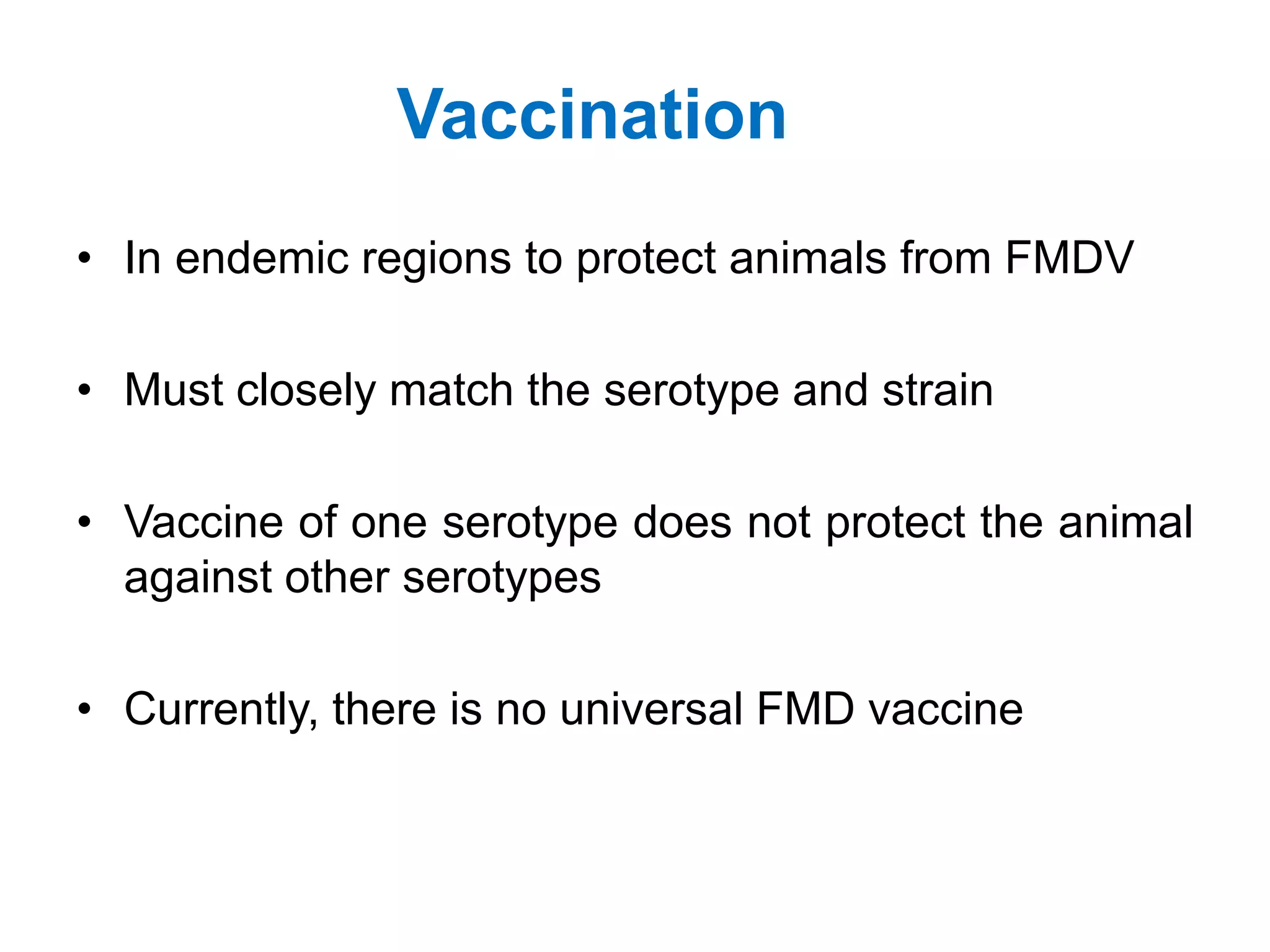Foot and Mouth Disease | PPTX