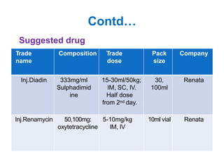 Foot and Mouth Disease | PPTX