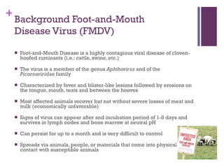 FMDV | PPT