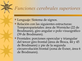 F mentales | PPT