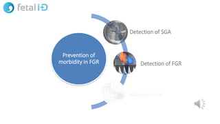 FMFbarcelona2024 - intrauterine growth restriction classification.pdf