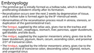 FM fetal GI system development, embryology and ultrasound features.pptx