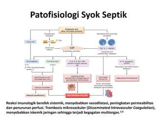 Overview syok | PPTX