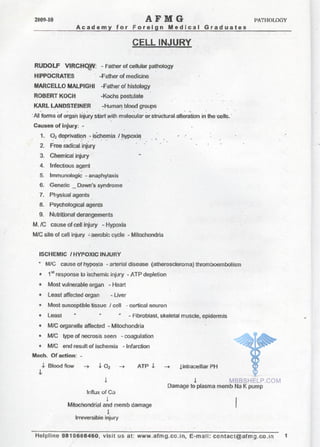 FMGE Notes - Pathology | PDF