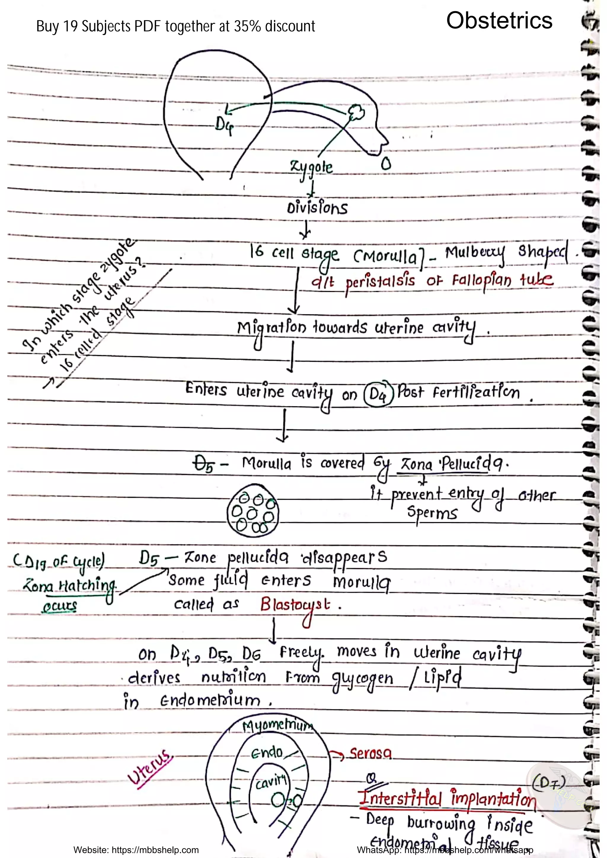 FMGE Handwritten Notes SAMPLE by MBBS Help | PDF