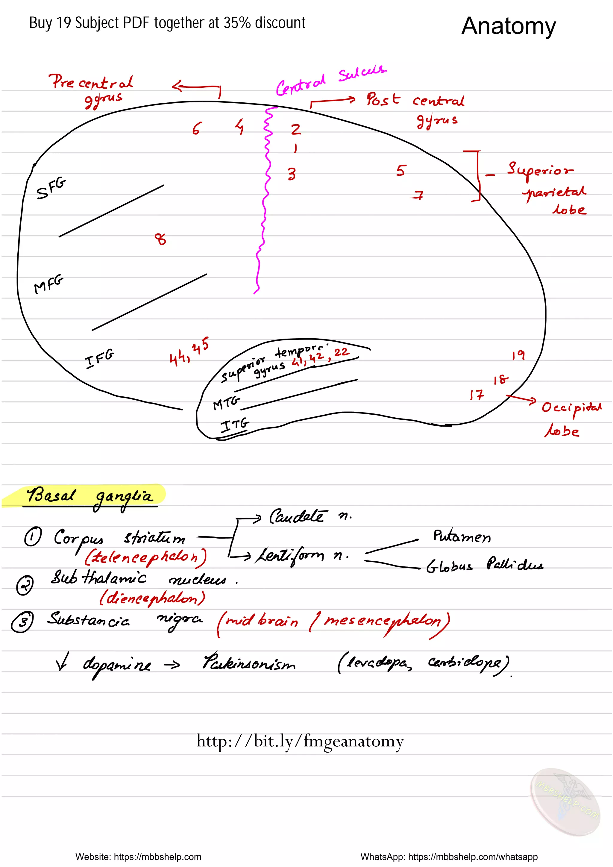 FMGE Handwritten Notes SAMPLE by MBBS Help | PDF