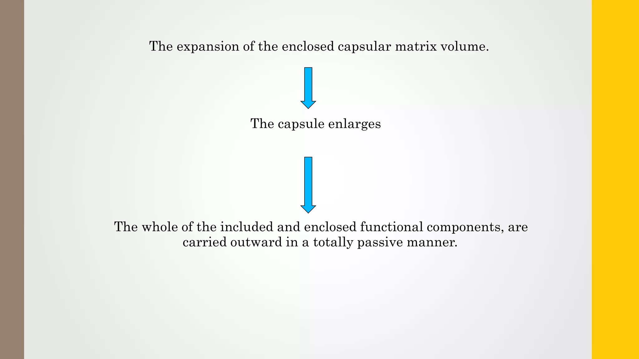 Functional matrix Hypothesis- Revisited | PPTX
