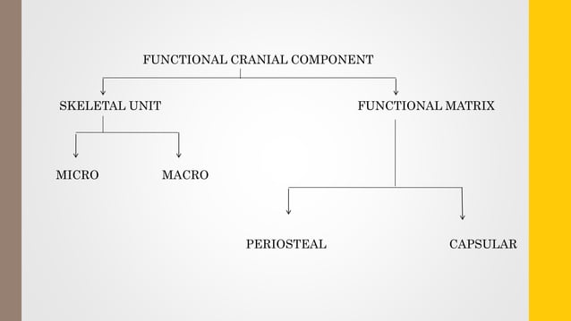 Functional matrix Hypothesis- Revisited | PPTX