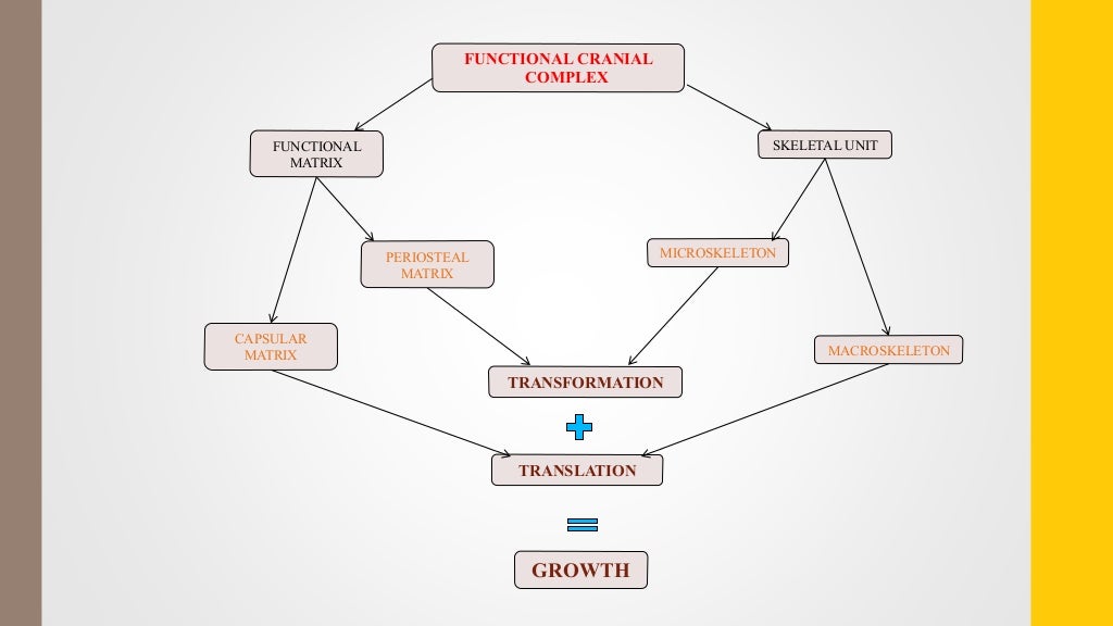 Functional matrix Hypothesis- Revisited