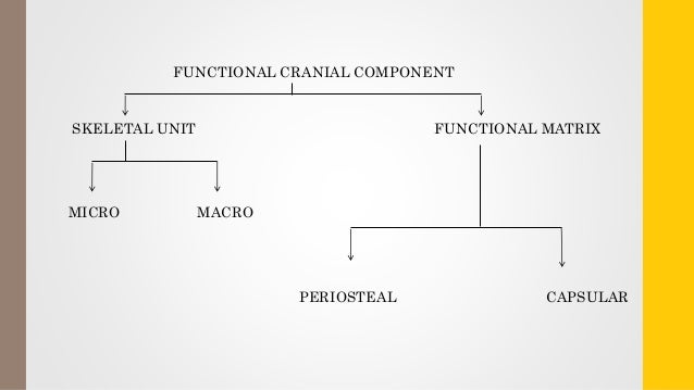 Functional matrix Hypothesis- Revisited
