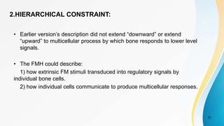 Functional matrix hypothesis revisited 1 | PPTX