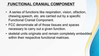 Functional matrix hypothesis revisited 1 | PPTX