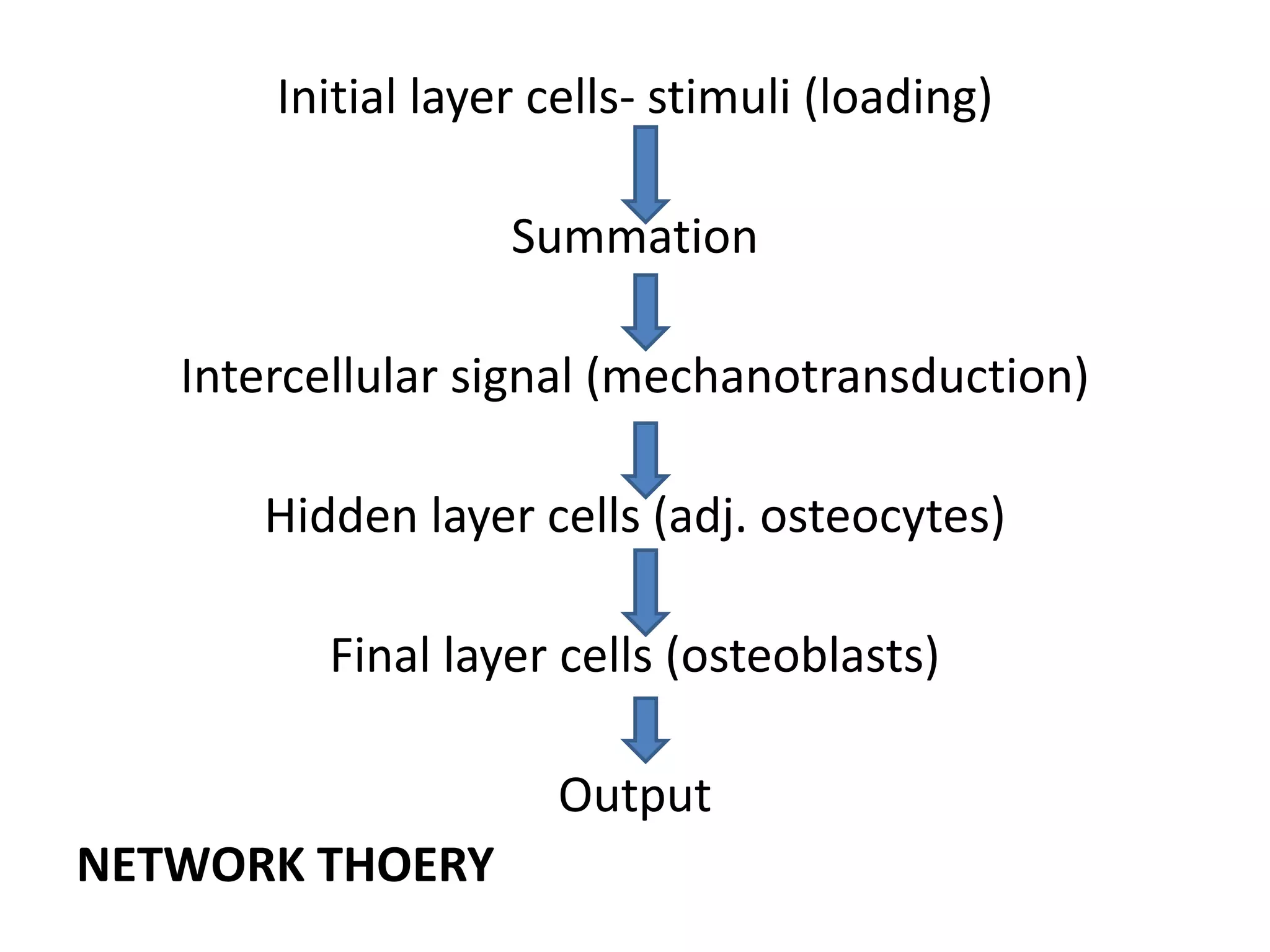 Functional matrix hypothesis revisited | PPTX