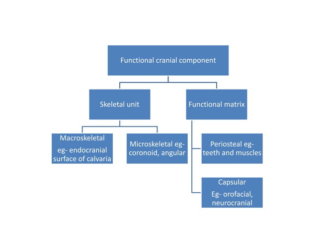 Functional matrix hypothesis revisited | PPTX