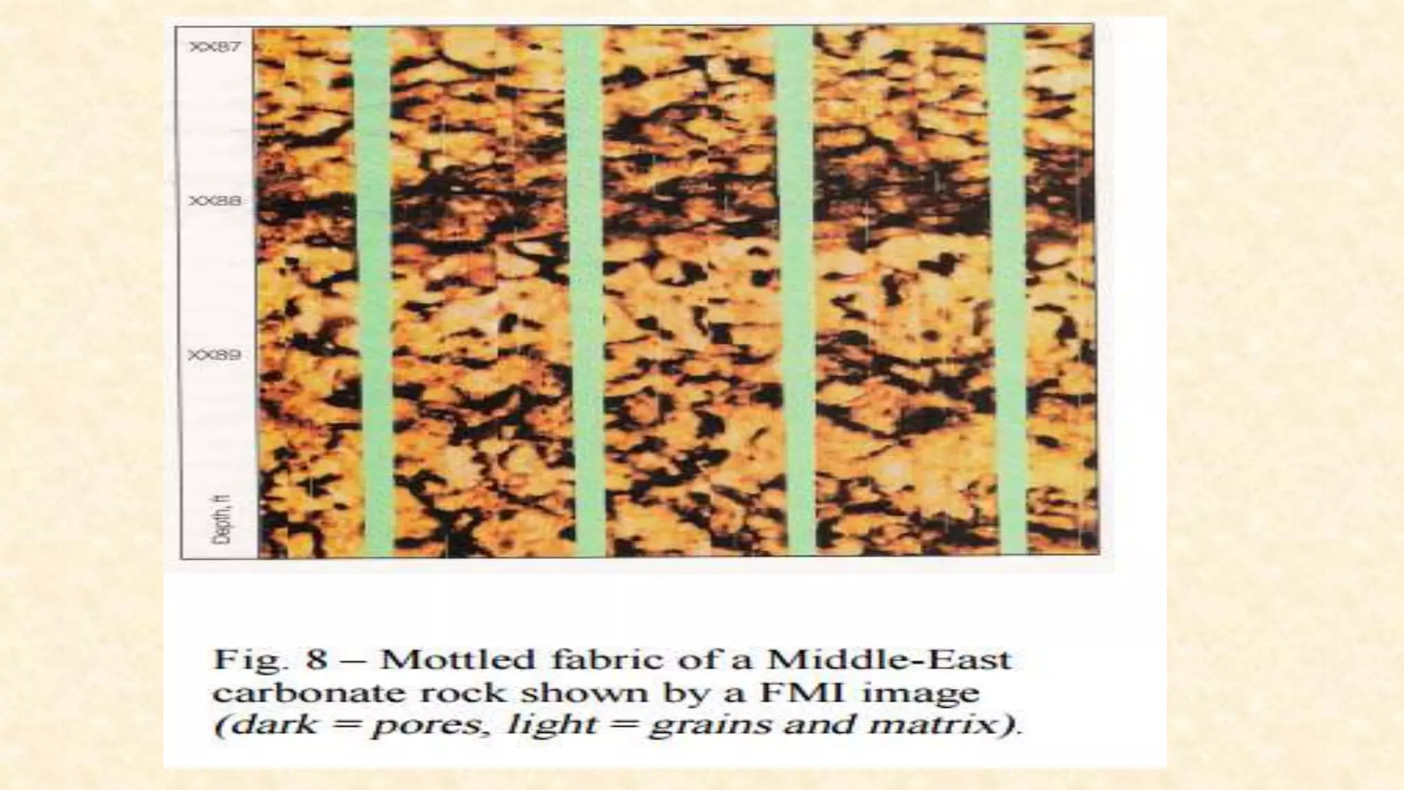 Fmi log presentation | PPTX