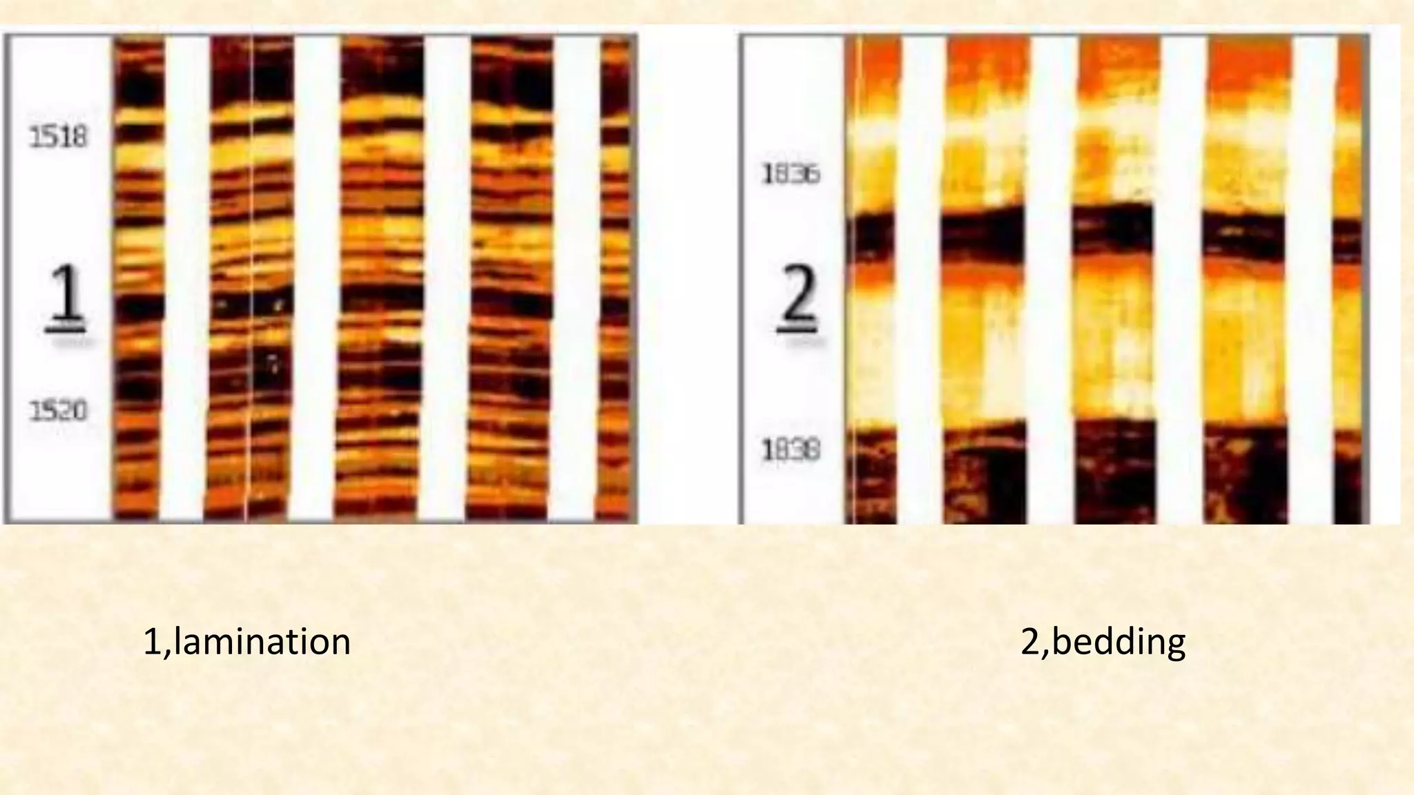 Fmi log presentation | PPTX