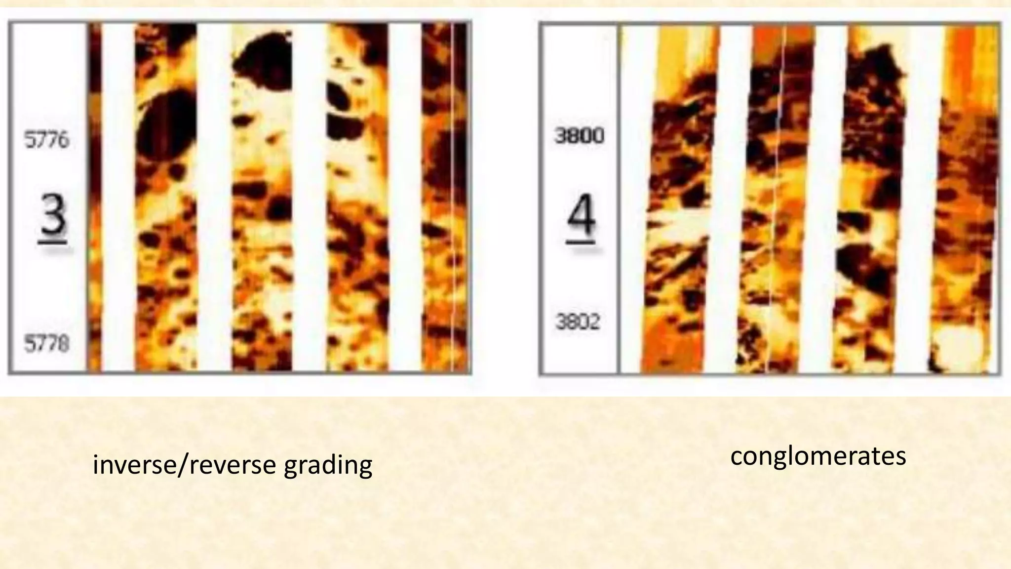 Fmi log presentation | PPTX