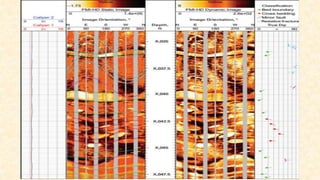 Fmi log presentation | PPTX