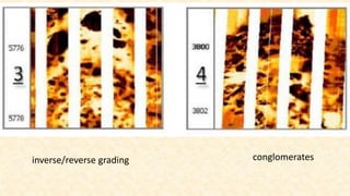 Fmi log presentation | PPTX