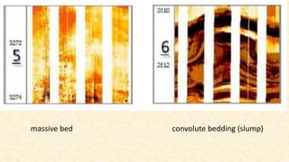 Fmi log presentation | PPTX