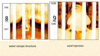 Fmi log presentation | PPTX