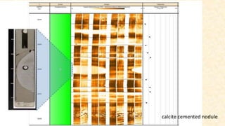 Fmi log presentation | PPTX