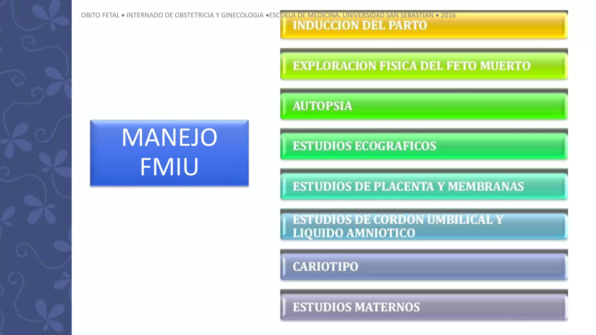 FETO MUERTO IN UTERO. OBITO FETAL. 2016 | PPT
