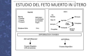 FETO MUERTO IN UTERO. OBITO FETAL. 2016 | PPTX
