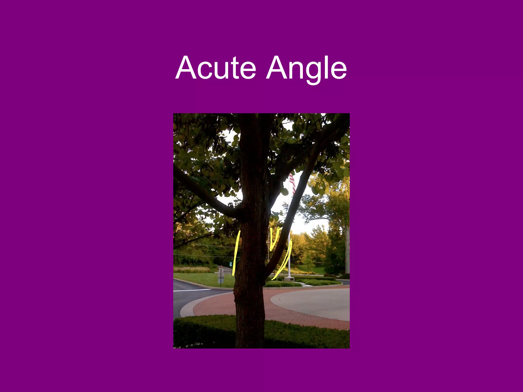 Angles in Real Life | PPT