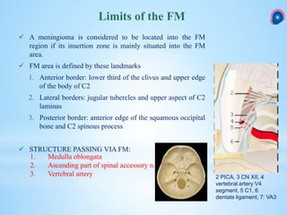 Foramen Magnum Spinal Cord