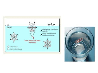 FMM- UNIT I FLUID PROPERTIES AND FLOW CHARACTERISTICS | PPTX