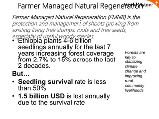 FMNR brings resilience to Ethiopia | PPTX