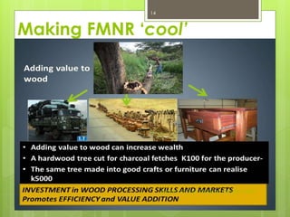 FMNR beating famine | PPT
