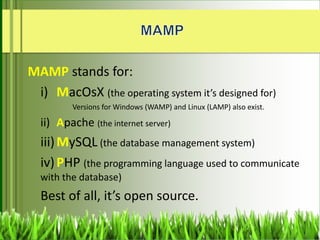 Farmers Markets Web Application | PPTX | Web Development | Internet