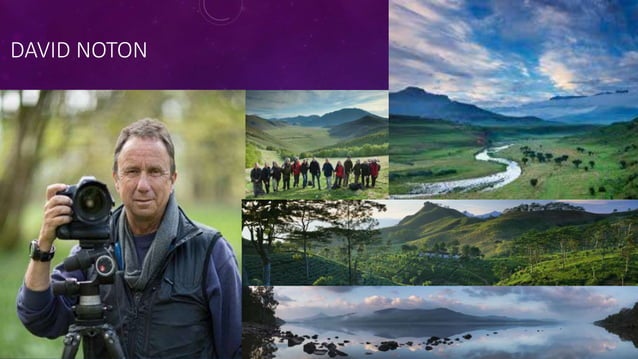 Fmp - contextual research updated | PPT